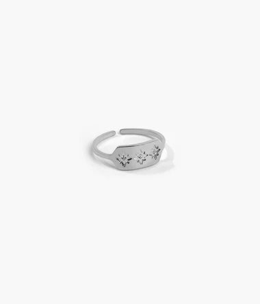 Lassie Ring - Steel – Zag Bijoux